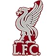 Amazon.com: Official Liverpool FC 3D Fridge Magnet : Sports & Outdoors