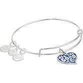 Amazon.com: Alex and Ani Path of Symbols Expandable Bangle for Women, Wave Charm, Rafaelian ...