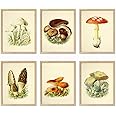 Amazon.com: LIYAOLI Vintage Mushroom Wall Decor Botanical Wall Art ...