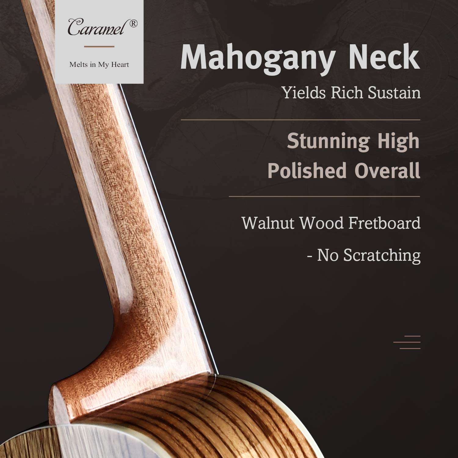 Mua Caramel 6 String CB103G 30 Inch High Gloss Zebra Wood Acoustic ...