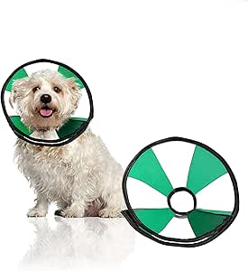 Amazon.com : ProCollar Pet Recovery Cone E-Collar for Dogs and Cats ...