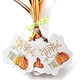 Amazon.com: Autumn Pumpkin So Thankful For You Gift Tags - Thanksgiving ...