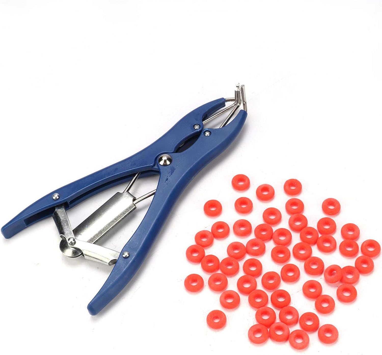 Sheep Castration Forceps Veterinary Surgical Tool Castration Forceps ...