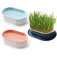 Amazon.com: 3Pcs Household Cat Grass Box Cat Plant Convenient Planting ...