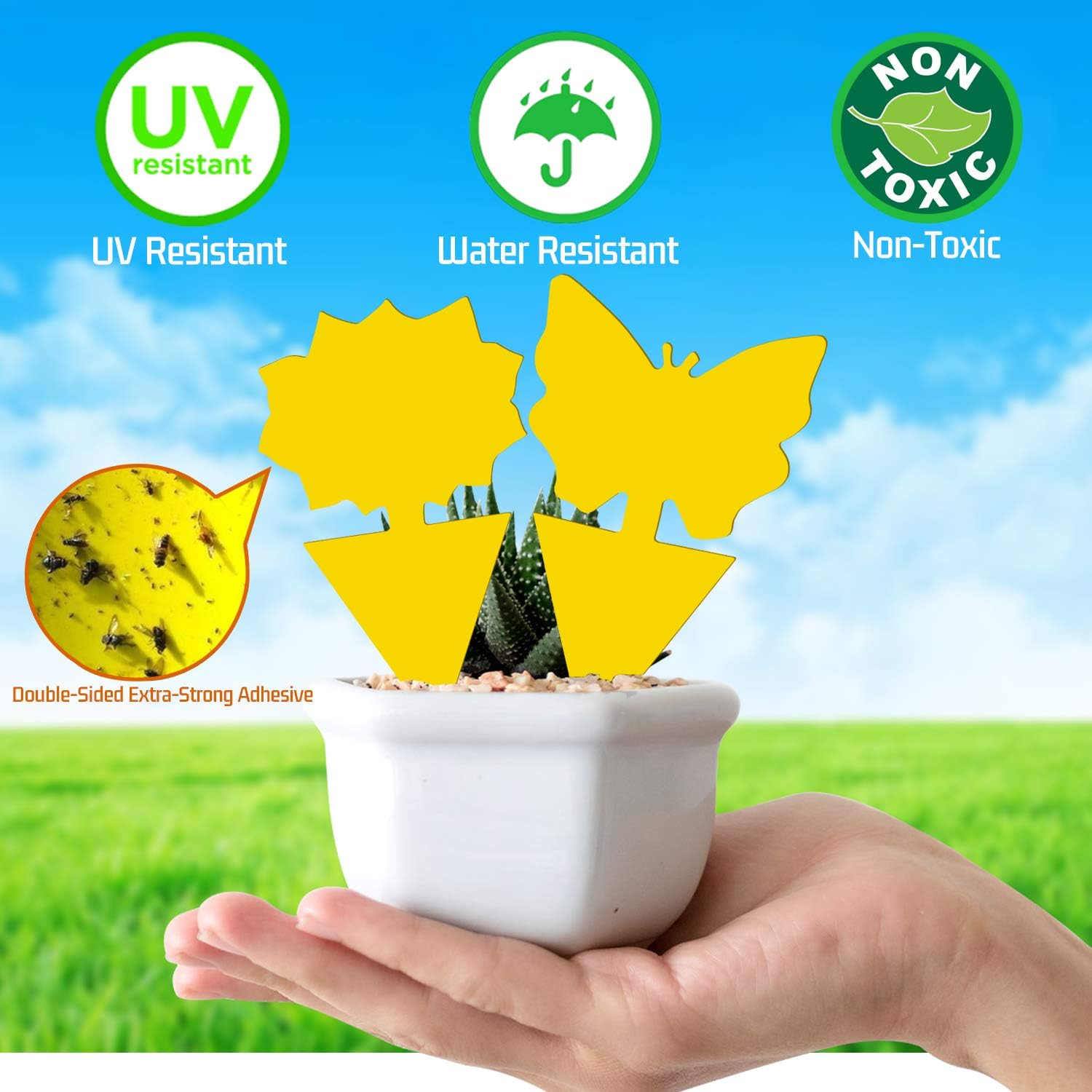 Jane Choi Yellow Sticky Fly Traps, Fly Paper Stickers, Sticky Fly ...