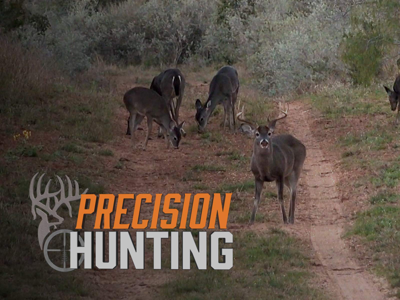 Watch Precision Hunting | Prime Video
