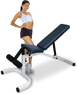 Amazon.com: Deltech Fitness Flat/Incline/Decline Dumbbell Bench ...