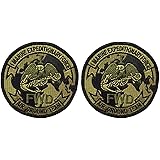 Amazon.com: 1st MEF Marine Expeditionary Force FWD ACU Patch Foliage ...