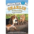 Charlie the Ranch Dog: Charlie's Snow Day: A Winter and Holiday Book ...