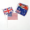 Amazon.com: 100 Countries Flags, Small Flags of the World ...