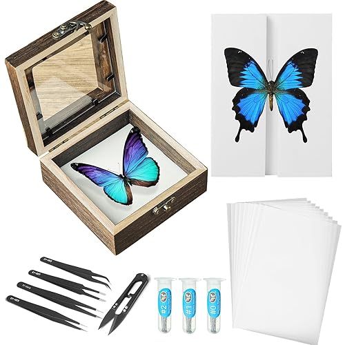 20 Pieces Insect Pinning Kit, Bug Pinning Kit for Science Classroom ...