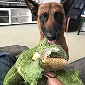 Pet Supplies : Fluff & Tuff Olive Frog : Amazon.com