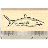 Amazon.com: Whale Shark Rubber Stamp Australian Reef Fish: Arts, Crafts ...
