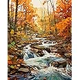 Amazon.com: Paint by Number Fall Forest Waterfalls Scenery Abstract ...