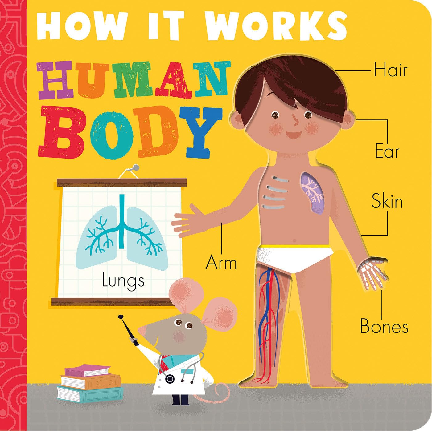 Mua How it Works: Human Body trên Amazon Mỹ chính hãng 2025 | Fado
