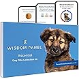 Amazon.com: Wisdom Panel Essential, New and Improved Dog DNA Test for ...