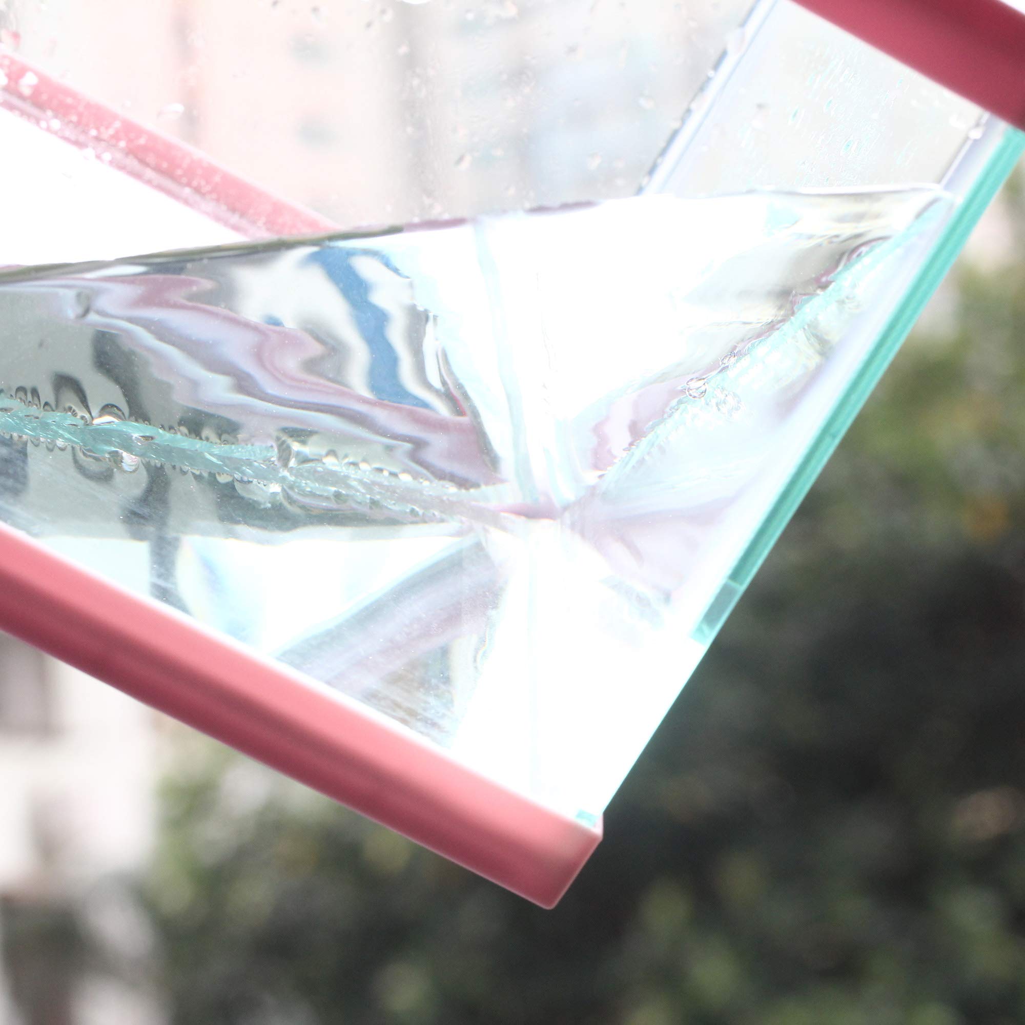 Mua crapelles Pink Small Lovely Vertical Insect Glass Terrarium Box ...