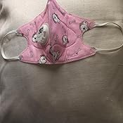 SG HEALTH N95 Pollution Kids Dust Mask with Activated Carbon (Pink ...