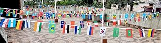 Amazon.com : Anley 184Ft 200 Countries String Flag - International ...