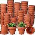 Amazon.com: Sliner 150 Pcs Small Clay Pots 2 Inch Terracotta Plant Pots ...