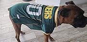 Amazon.com : NFL GREEN BAY PACKERS DOG Jersey, Large : Sports & Outdoors