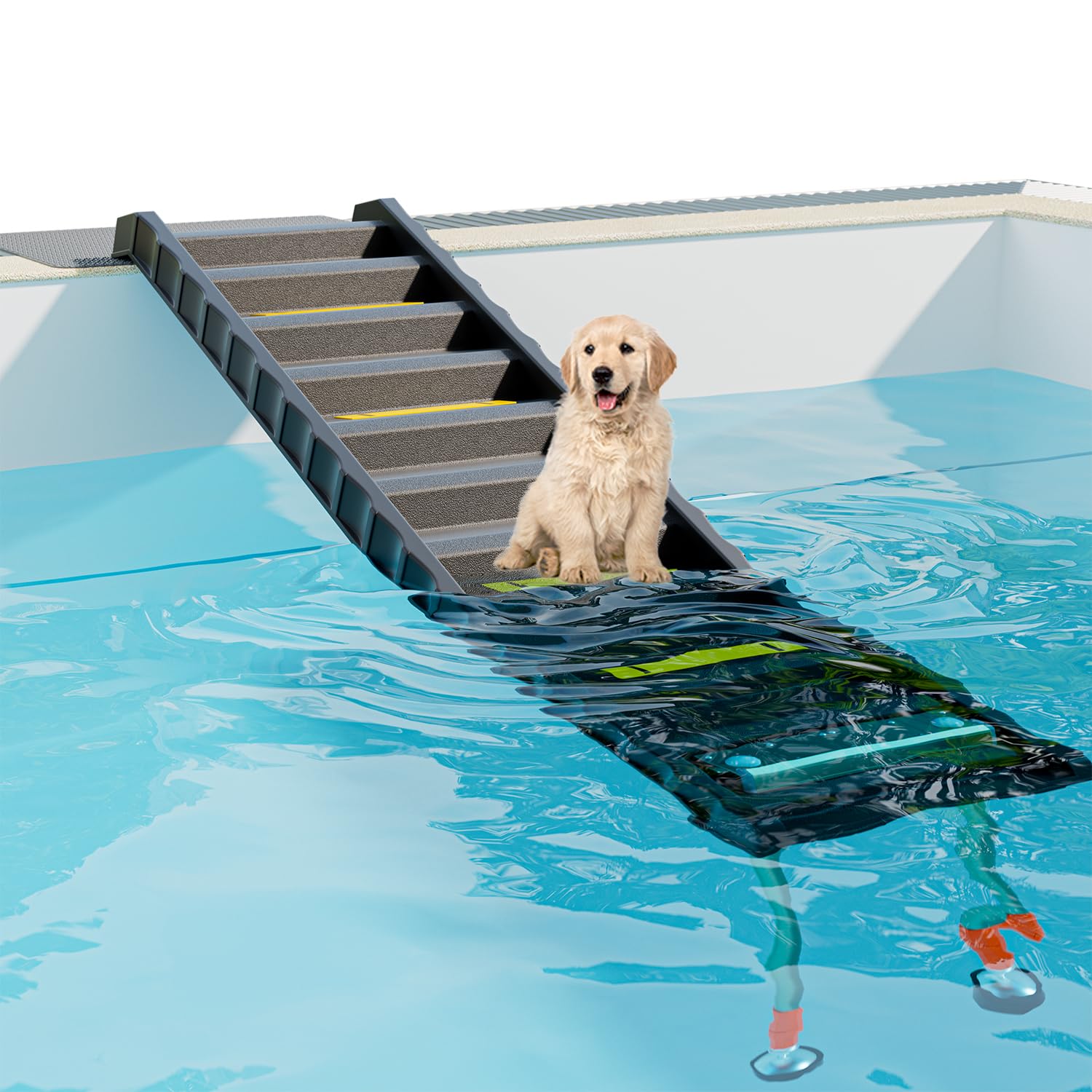 Foldable Dog Pool Ramp with 33" Legs for Free Height Adjustment,Safe ...