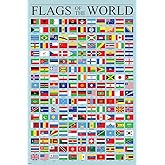 Amazon.com: Flags of the World Classroom Reference Chart National ...