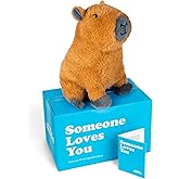 Amazon.com: send a friend Sam The Sloth Stuffed Animal Care Package ...