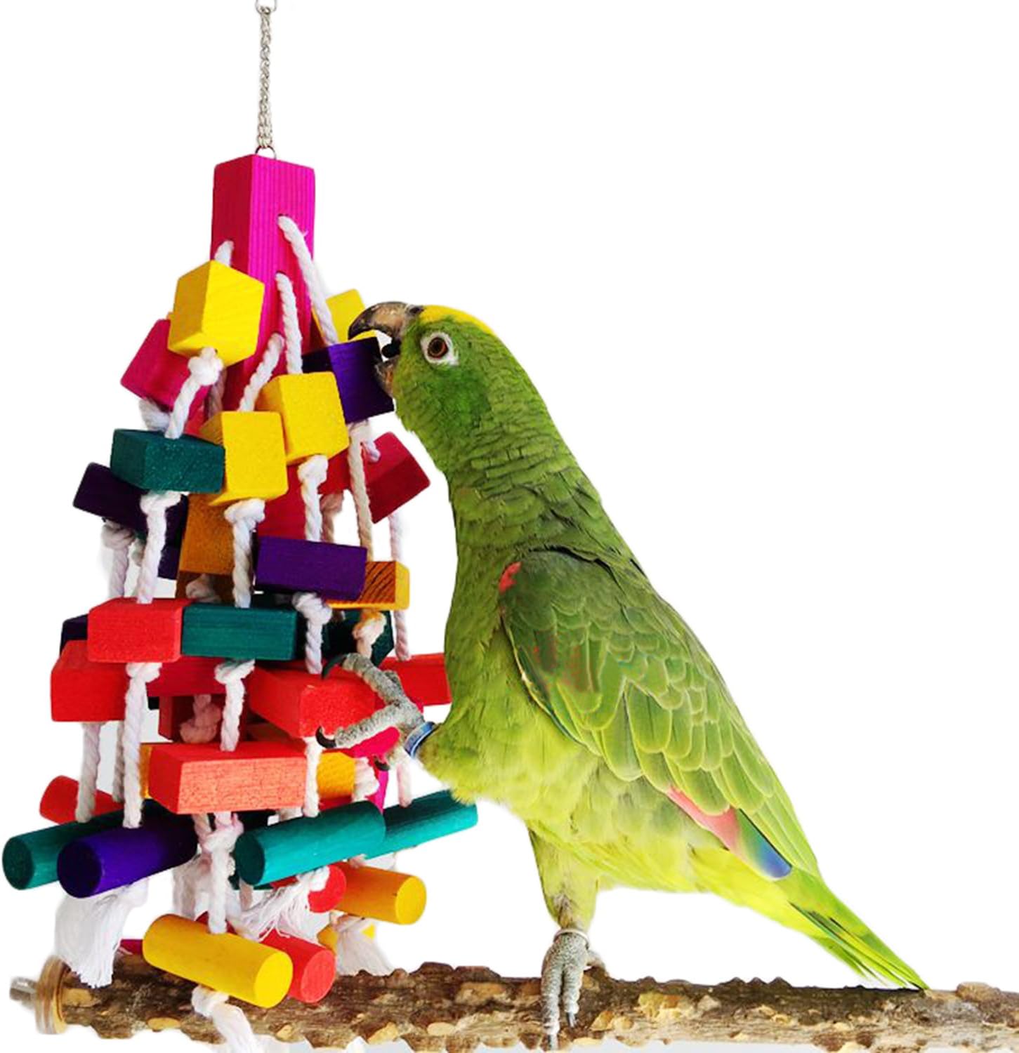 Amazon.com : RYPET Bird Wood Chew Toy, Colorful Bird Cage Toys for ...