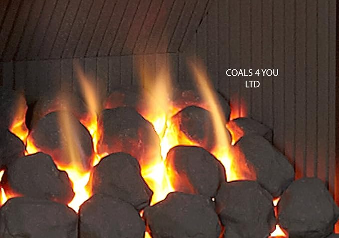COALS 4 YOU 30 Gas Fire Ceramic Large Cast Coals Replacement ...