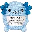 Amazon.com: Krinisou Positive Crochet Axolotl Gifts, Crocheted ...