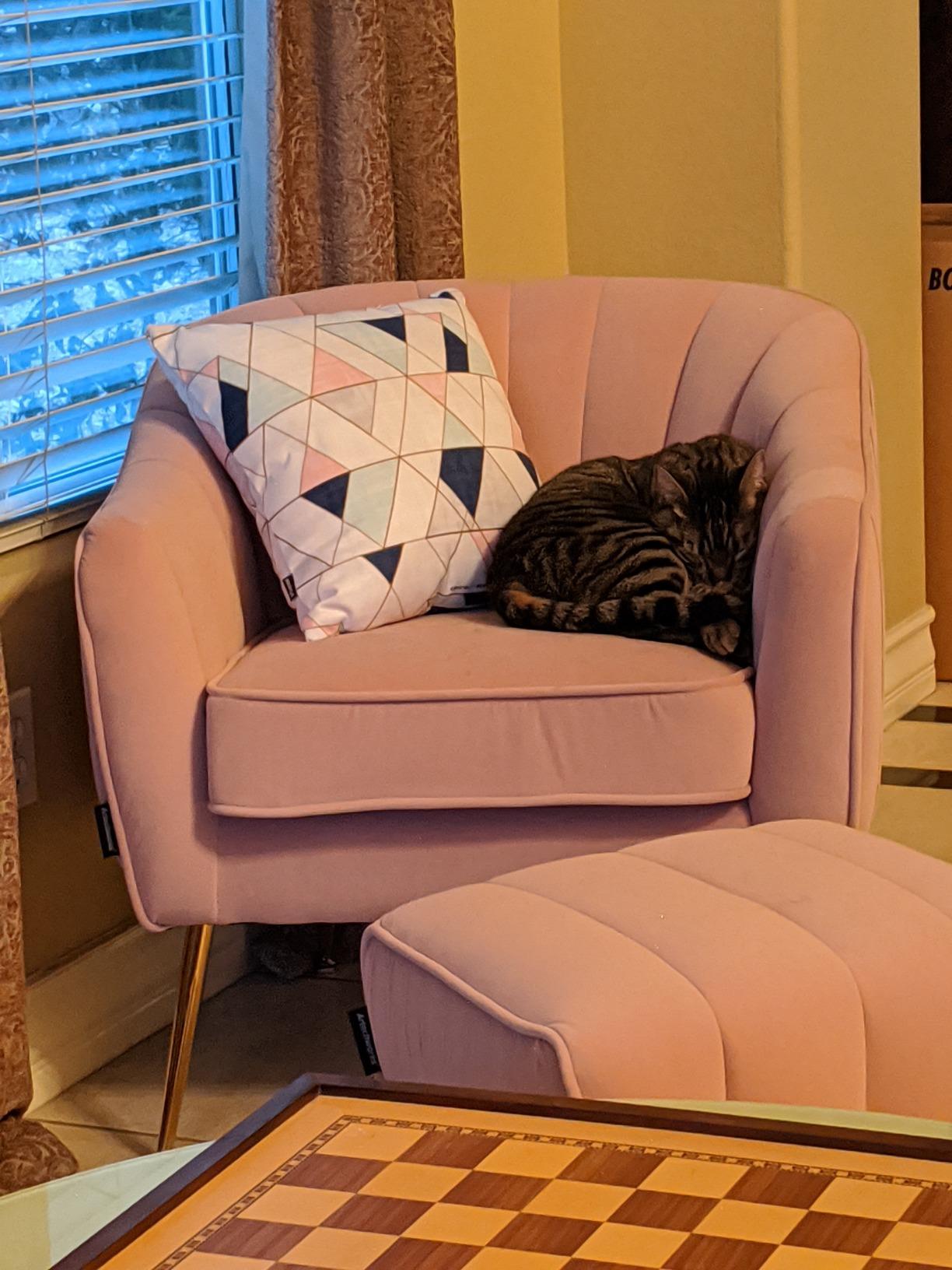 $50/mo - Finance Artechworks Velvet Modern Tub Barrel Arm Chair ...