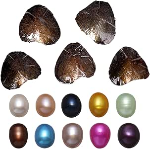 Perlas de ostras, las ostras, ostras con perlas perla interior kit de ...