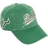 Amazon.com: Desert Cactus University of South Florida Baseball Hat USF ...