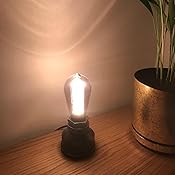 Long Life Lamp Company Vintage LED Filament Bulb, 2 W, Warm White 2200k ...