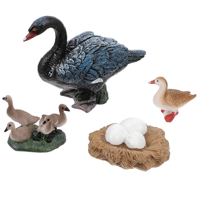 Artibetter 4pcs Life Cycle of a Swan Black Swan Growth Model Toy ...