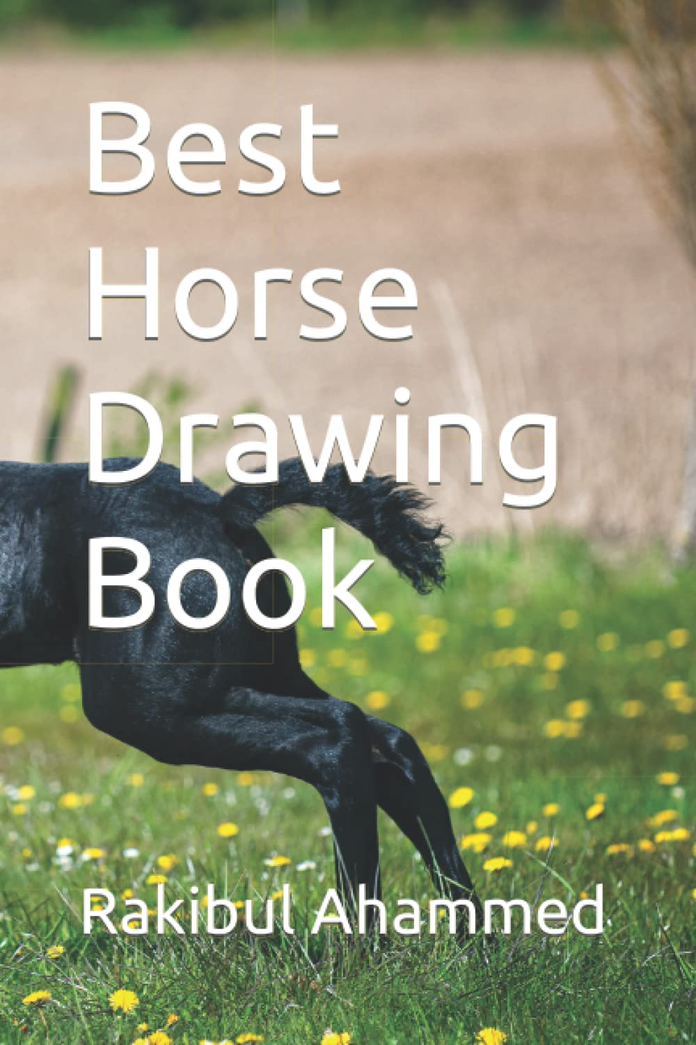 Mua Best Horse Drawing Book trên Amazon Nhật chính hãng 2024 | Fado
