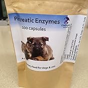 Pancreatic Digestive Enzyme Capsules for Dogs & Cats - Amylase and ...