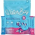 Amazon.com: Waterboy Weekend Recovery Variety | 3,200mg Electrolyte ...
