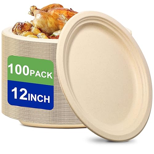 12 inch Large Paper Plates, 100 Pack Oval Paper Plates, 100% ...