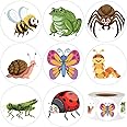 Amazon.com: Hohamn 600 Pcs Insect Stickers for Kids -8 Styles Cartoon ...