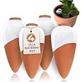Amazon.com: Everbrook Plant Self Watering Globes - Terracotta Watering ...