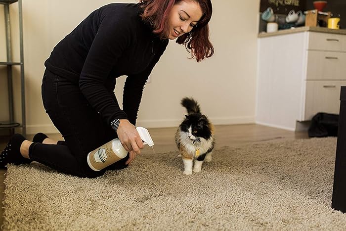 Top 8 Best Enzymatic Cleaners To Buy In 2024 Reviews