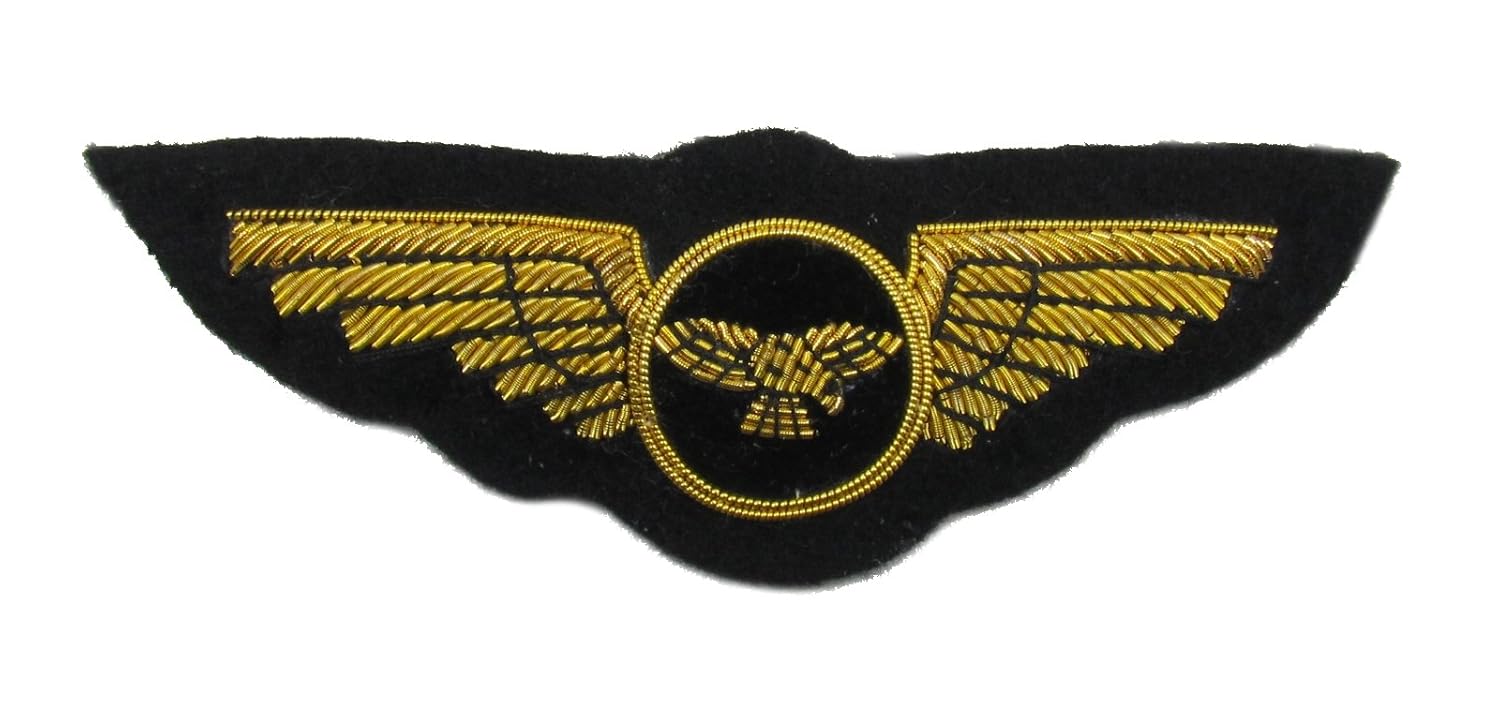 Badge Pilot Wings Gold Airline Wings R1770: Amazon.co.uk: Clothing
