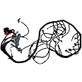 Amazon.com: LS Swap Harness, LS Wiring Harness, LS Stand Alone Harness with 4l60e Compatible ...