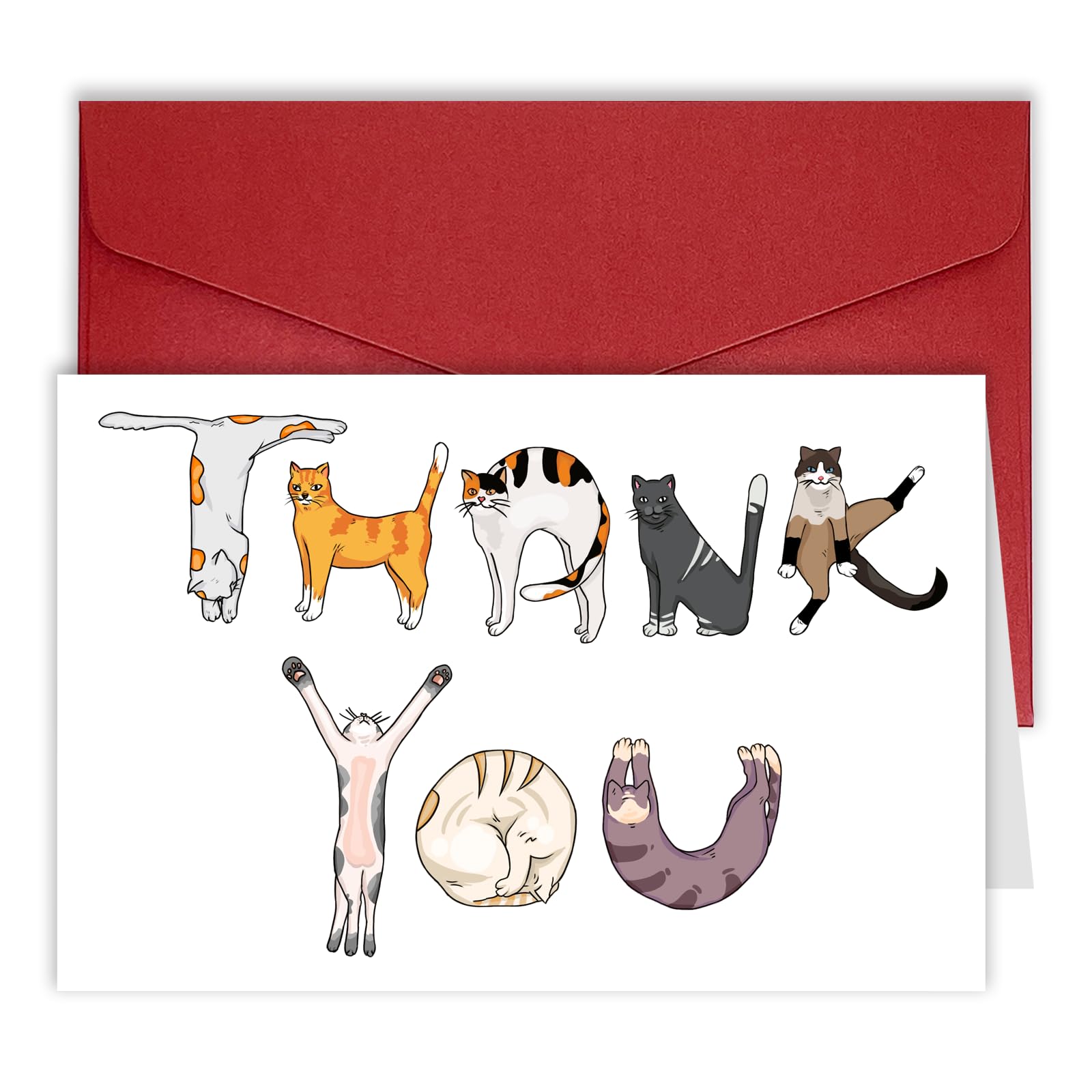 Bhiosng MOCO PAPER Funny Cat Thank You Card For Men Women, Cute Cat Thank You Gift for Him Her ...