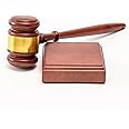 Amazon.com : Value Gavel Only - Judges Hammer - Legal Gifts - Auction ...