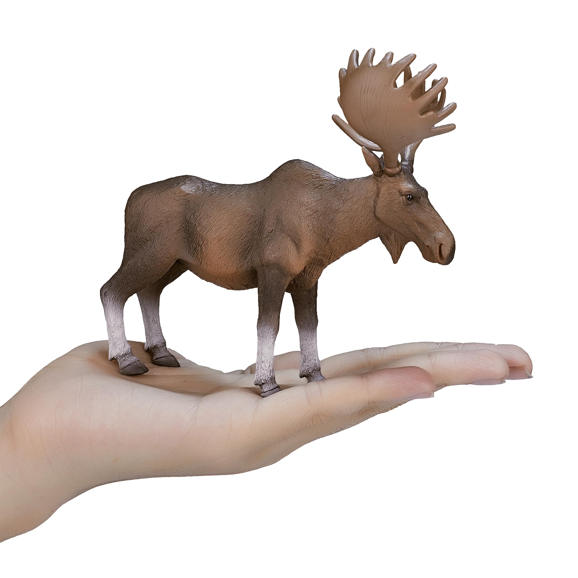 Mua European Elk (Moose) Realistic International Wildlife Toy Replica ...