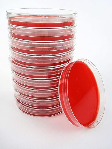 Red Blood Agar (RBA), TSA with 5% Sheep Blood (10-Pack). Provides ...