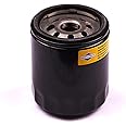 Amazon.com : Briggs & Stratton 491056 Oil Filter : Lawn Mower Oil ...